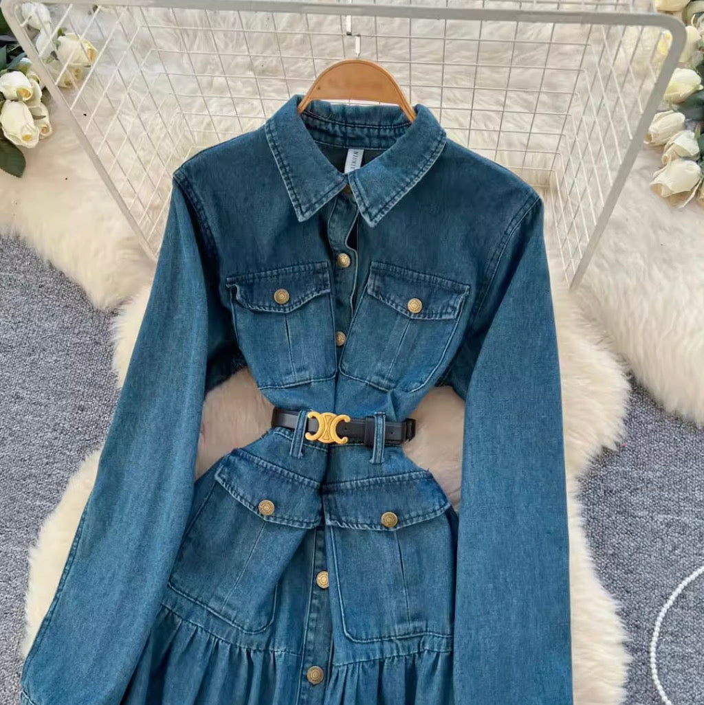 Single-breasted Denim Shirt Dress– irococo